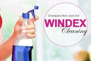 21 Unusual (But Effective) Uses for Windex & Few Fun Facts